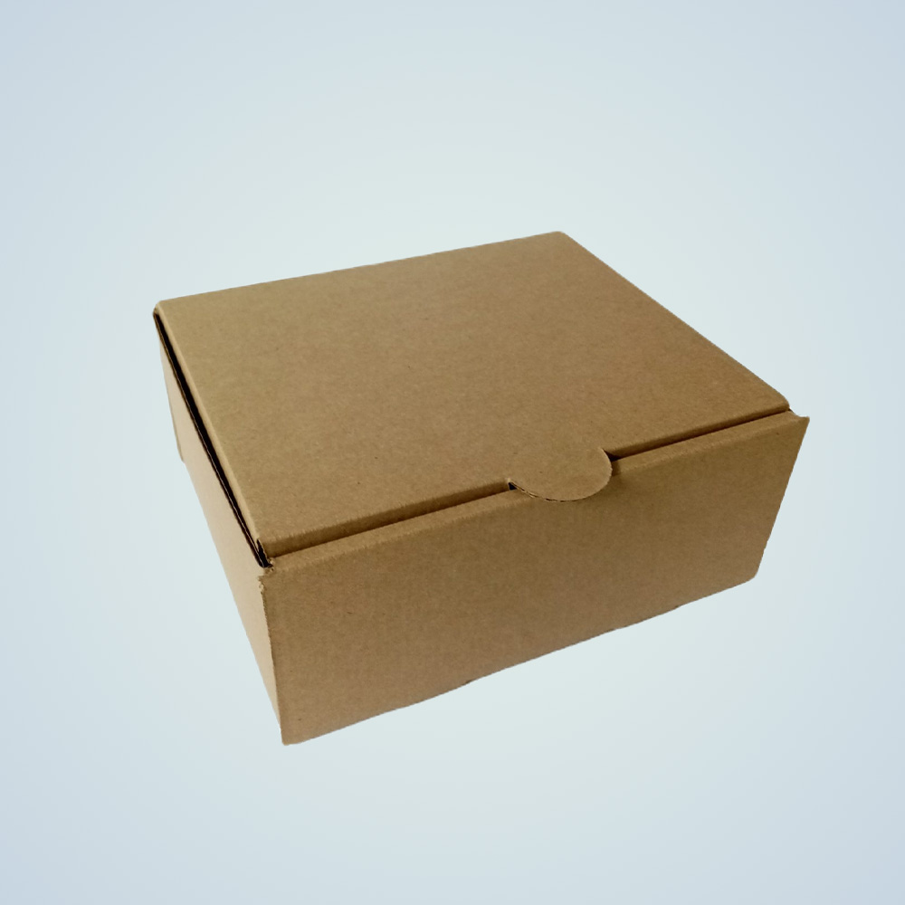 Caja Cartón (Postal 4) – ADELPACK