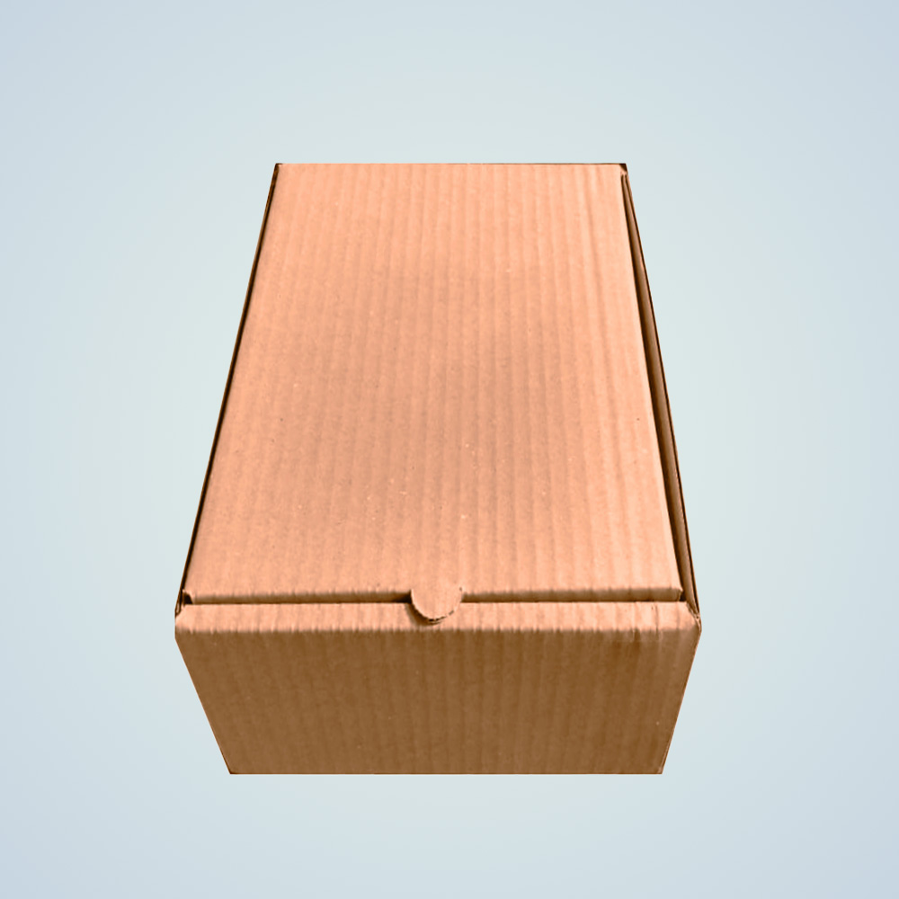 Caja Cartón (Postal 12) – ADELPACK